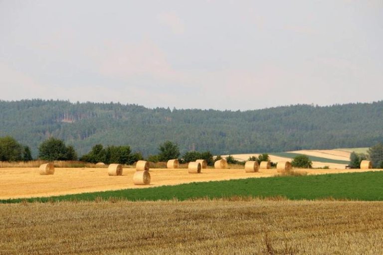 Ackerbau Archive - OÖ Bauernbund